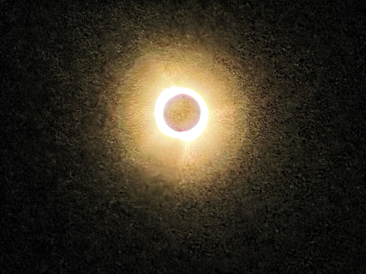 Snapseed 5 Large | Dr. Mike Kuna's Blog